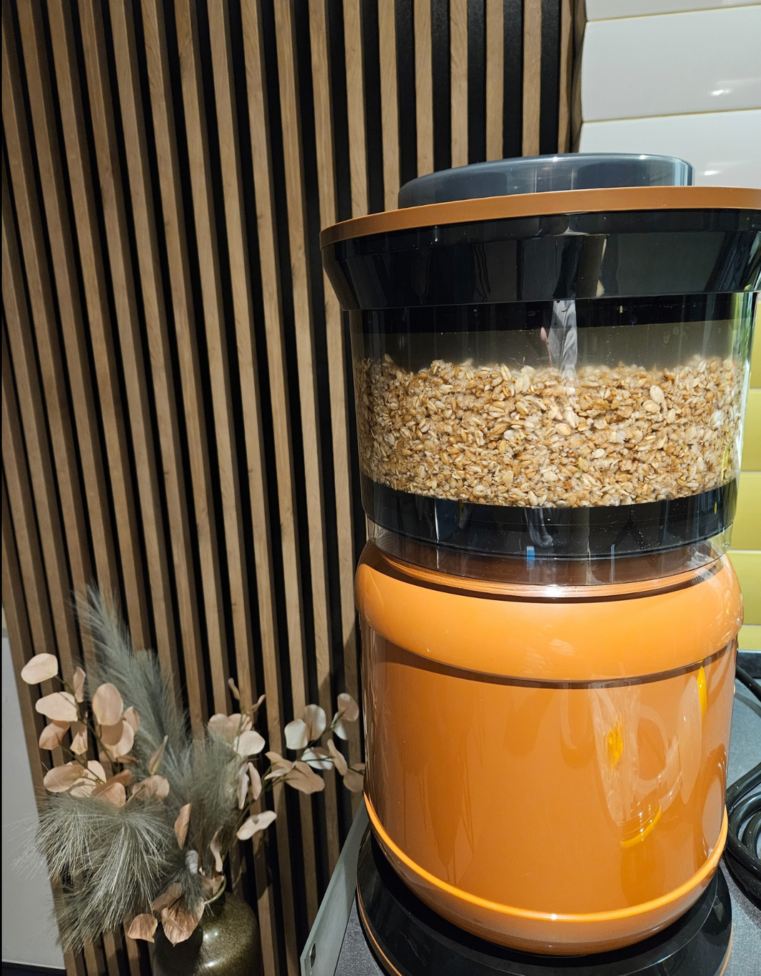 Exobrew - Brew 1.6 Gallon Beer At A Time, Ready in 3 to 30 Days